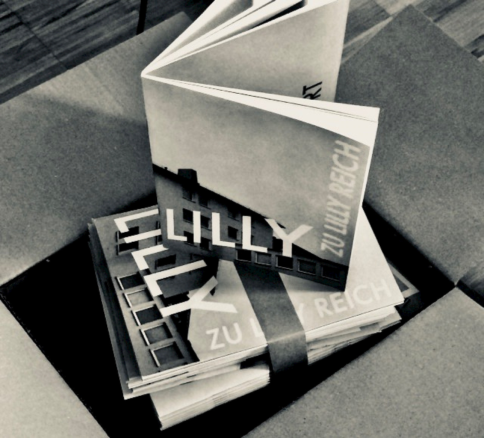 Publikation zu Lilly Reich | werkbund hessen